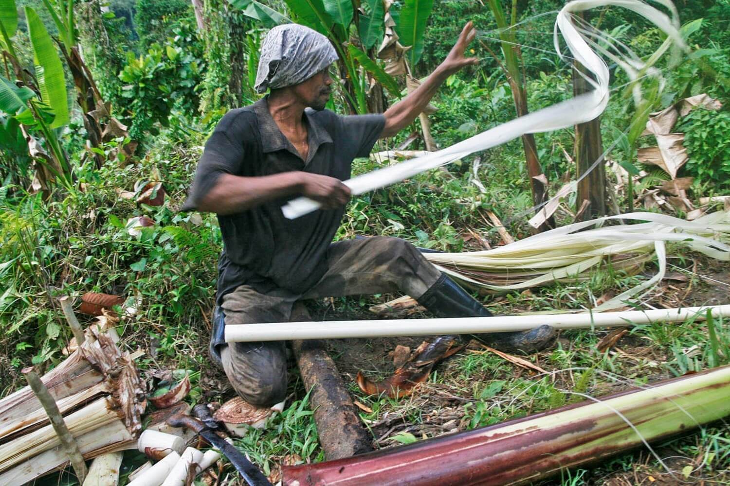 The many faces of Abaca | OH26株式会社